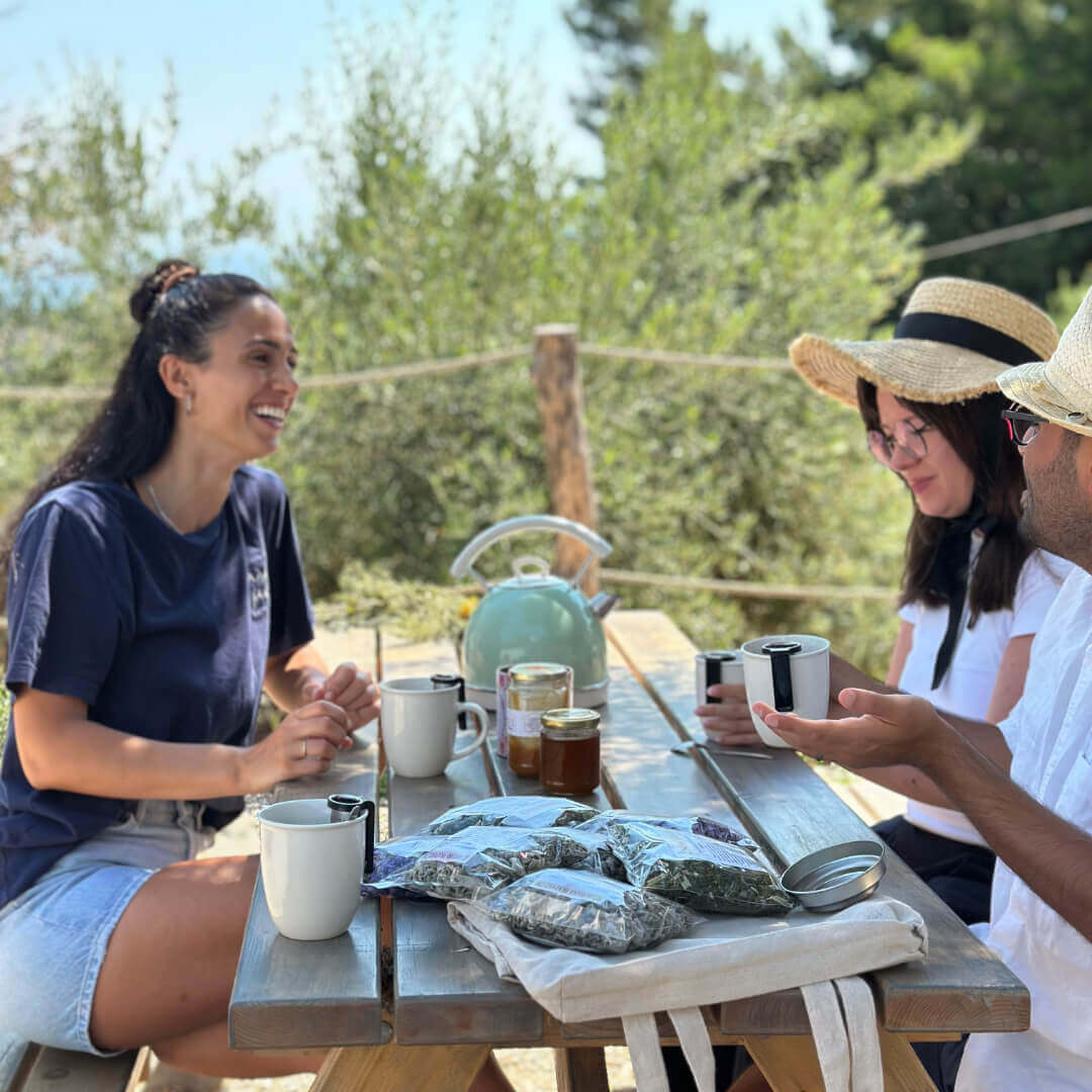 GREEK HERBAL TEA | IKARIA - CRETE - SANTORINI- CHIOS – Greek Superherbs