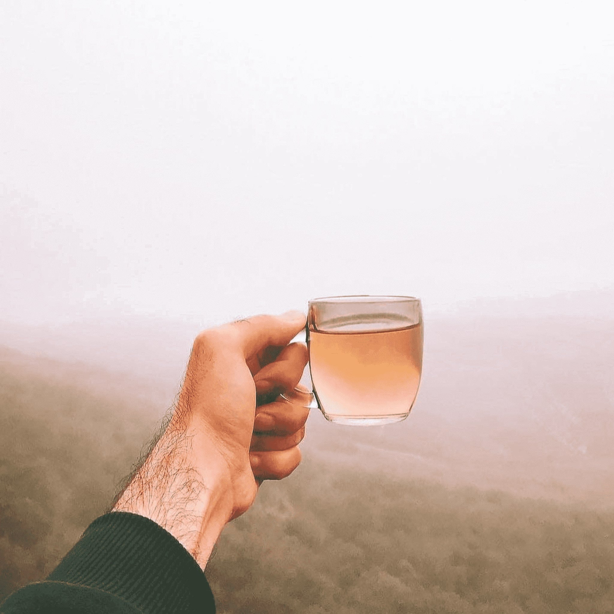 Buy the Best Tea for Energy Boosting from Greek Superherbs