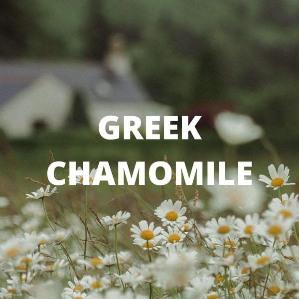 Buy Calm Tea for Relaxation & Calmness at Greek Superherbs